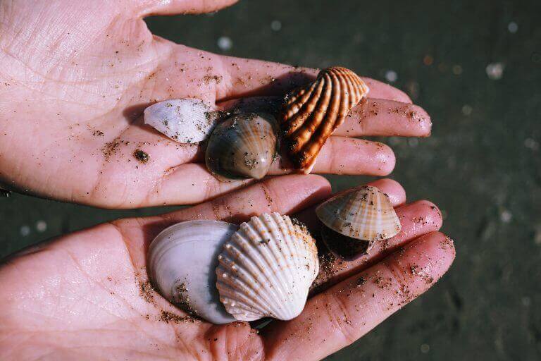 Anzio Beach, a perfect day trip from Rome | My Pretty Travels