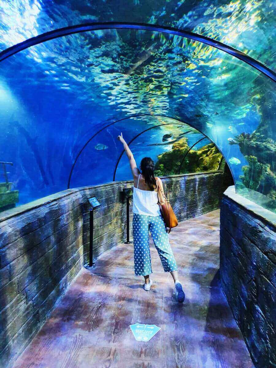 Malta National Aquarium: tickets, opening hours & free entry - My ...
