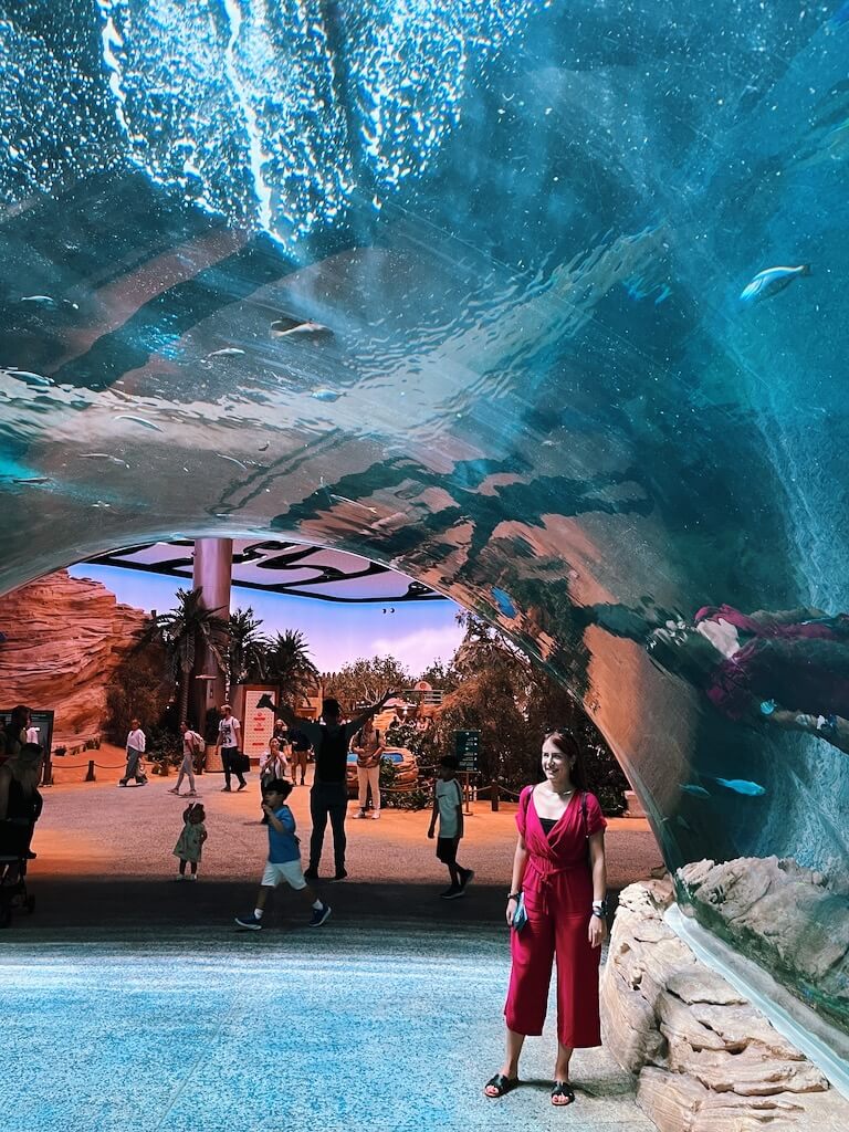 SeaWorld Abu Dhabi: tickets, opening hours & free entrances