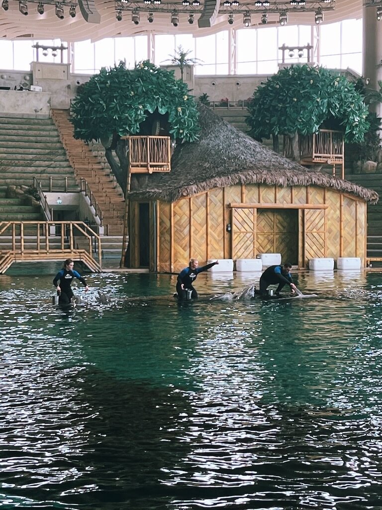 SeaWorld Abu Dhabi: tickets, opening hours & free entrances